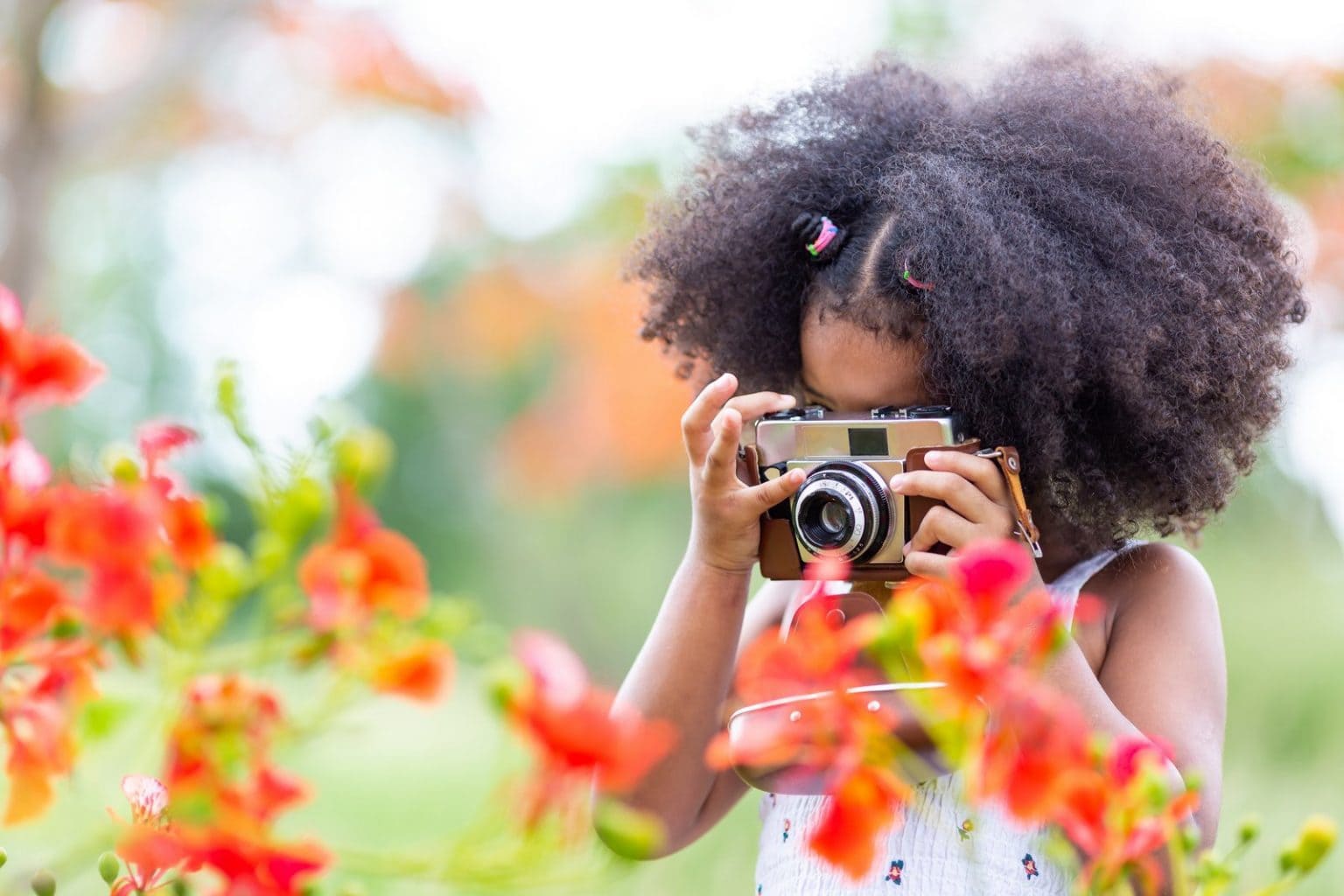 Pros & cons of point-and-shoot digital cameras - Lilyvolt