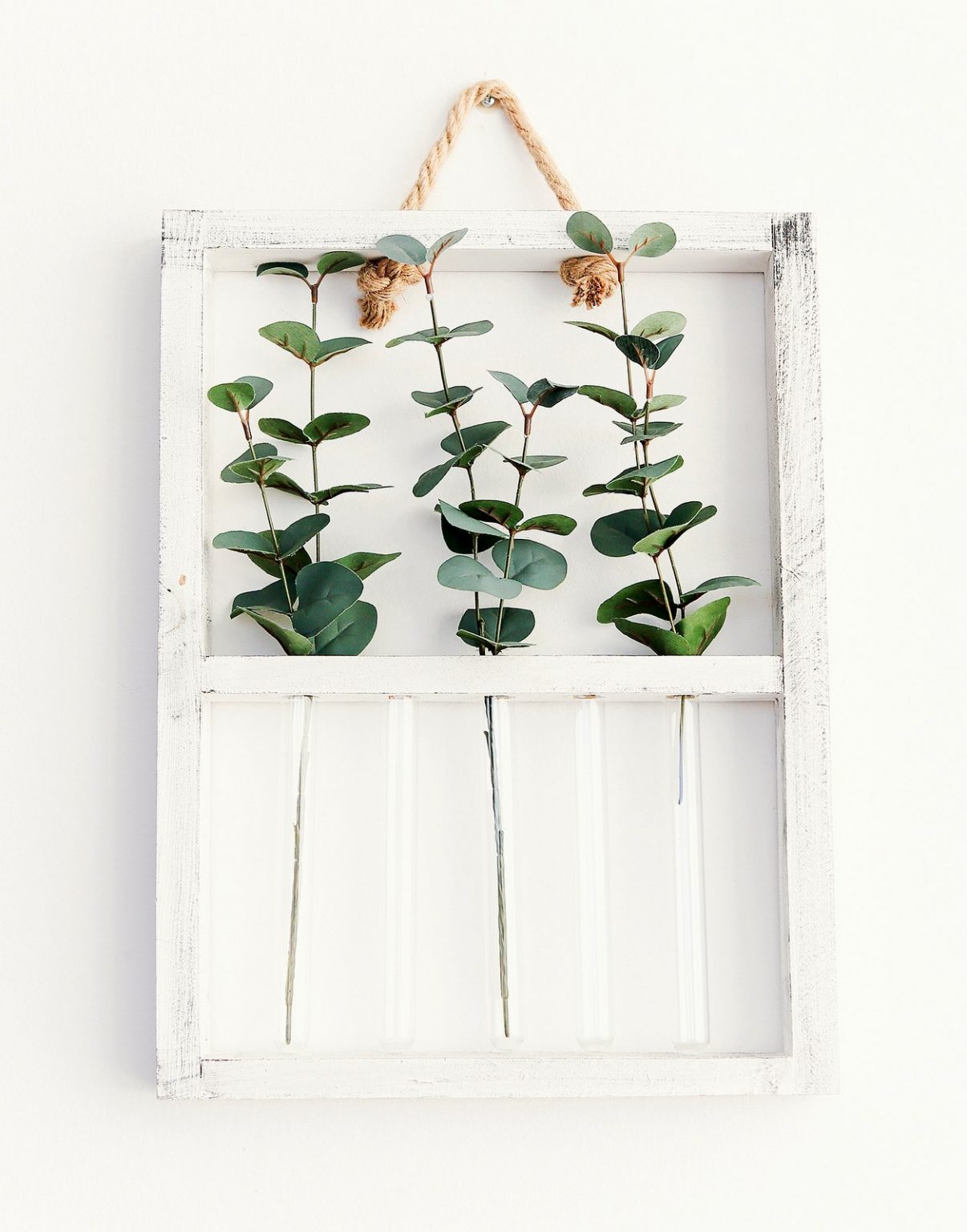 30 creative indoor plant decorating ideas (and none of them are wreaths ...