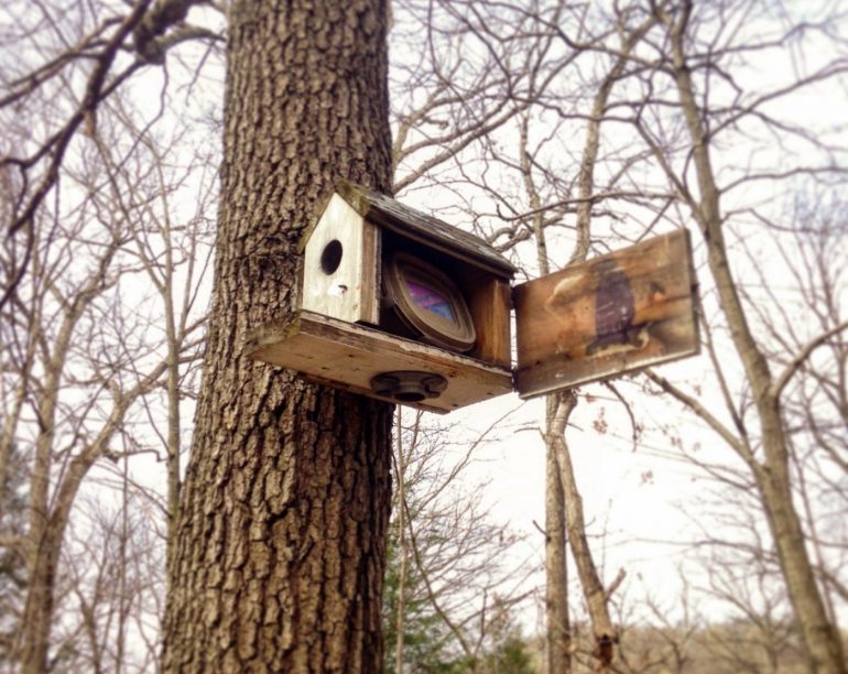 What is geocaching? Try a modern-day treasure hunt - Lilyvolt