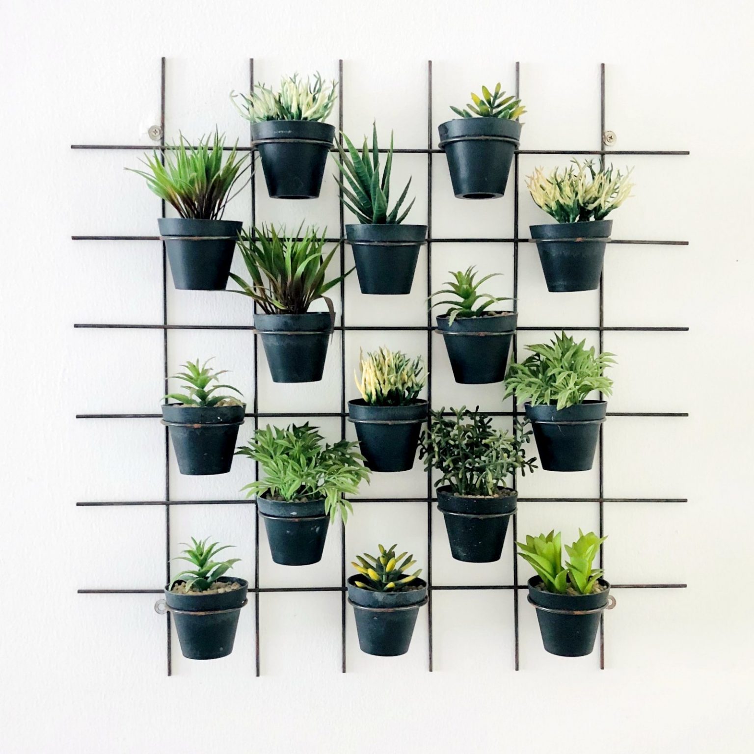 30 creative indoor plant decorating ideas (and none of them are wreaths ...